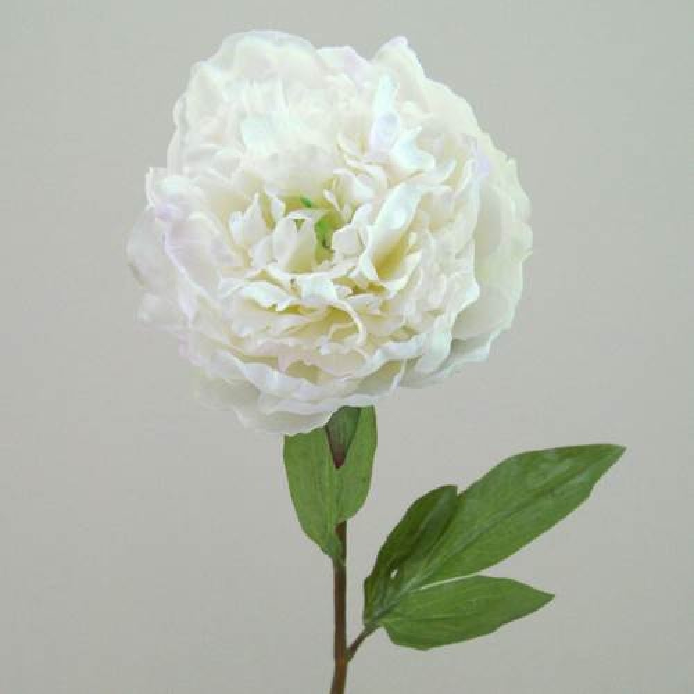 Real Touch Peony Cream 70cm | Artificial Flowers