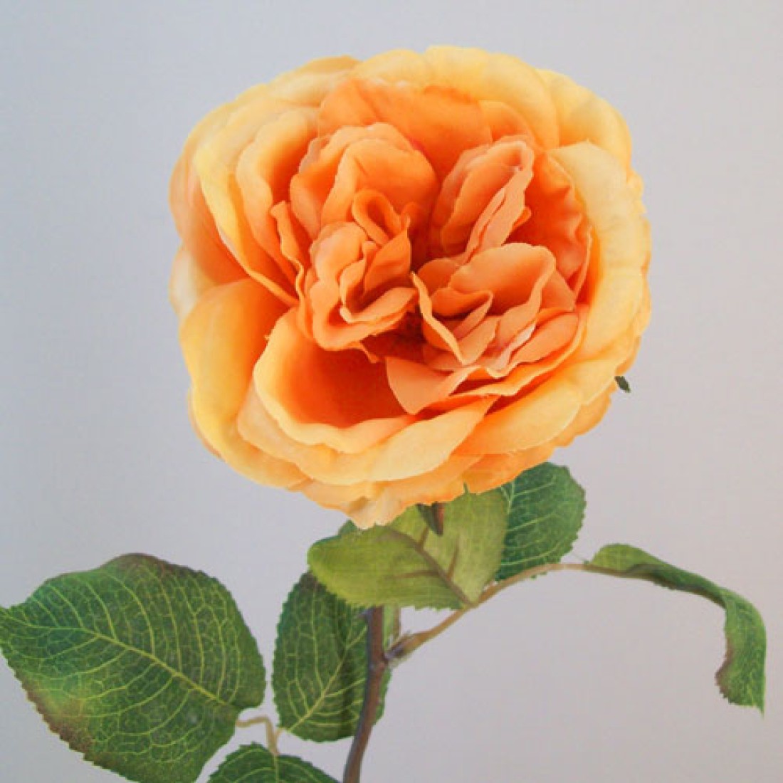 Artificial Cabbage Roses Amber Orange 55cm | Artificial Flowers