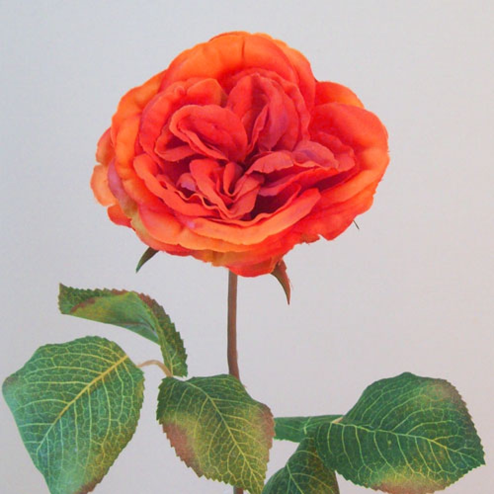 Artificial Cabbage Roses Orange 55cm | Artificial Flowers
