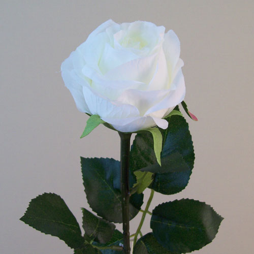 Artificial Eternity Rose Cream | Artificial Flowers