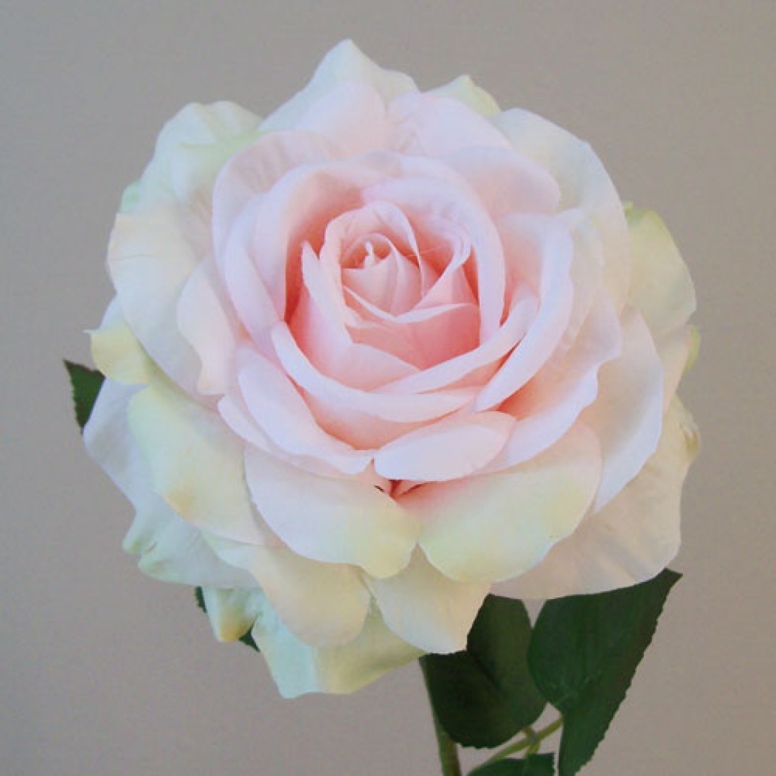 Artificial Rose Candy Crush Pink 44cm | Artificial Flowers