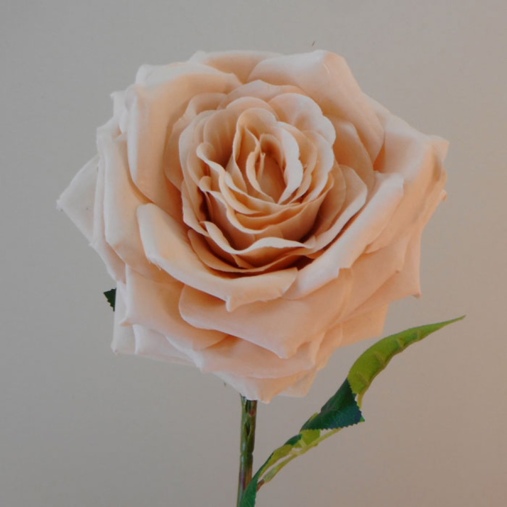 Artificial Roses Large Champagne Peach 76cm | Artificial Flowers