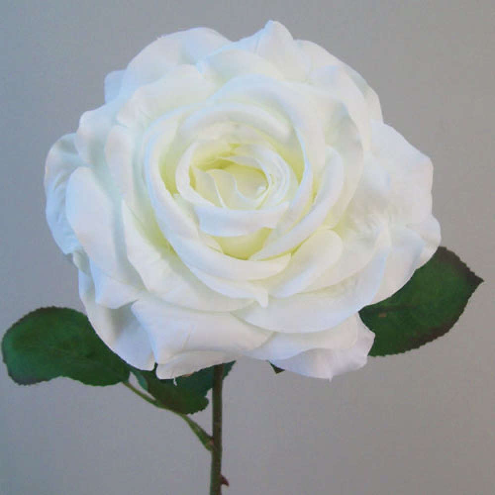 Artificial Rose Ivory 44cm | Artificial Flowers