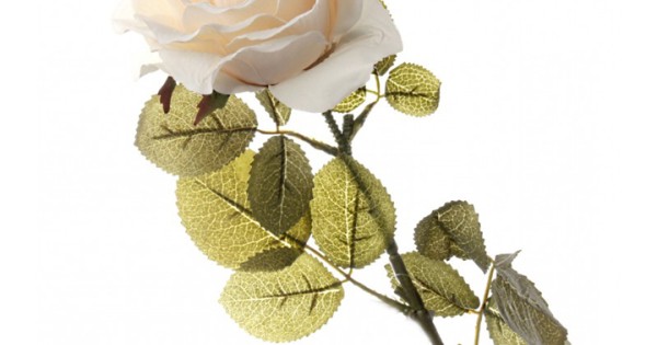 Artificial Roses La Perla Blush Peach 70cm | Artificial Flowers