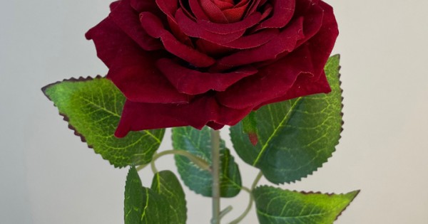 Artificial Rose Red Velvet 50cm| Artificial Flowers