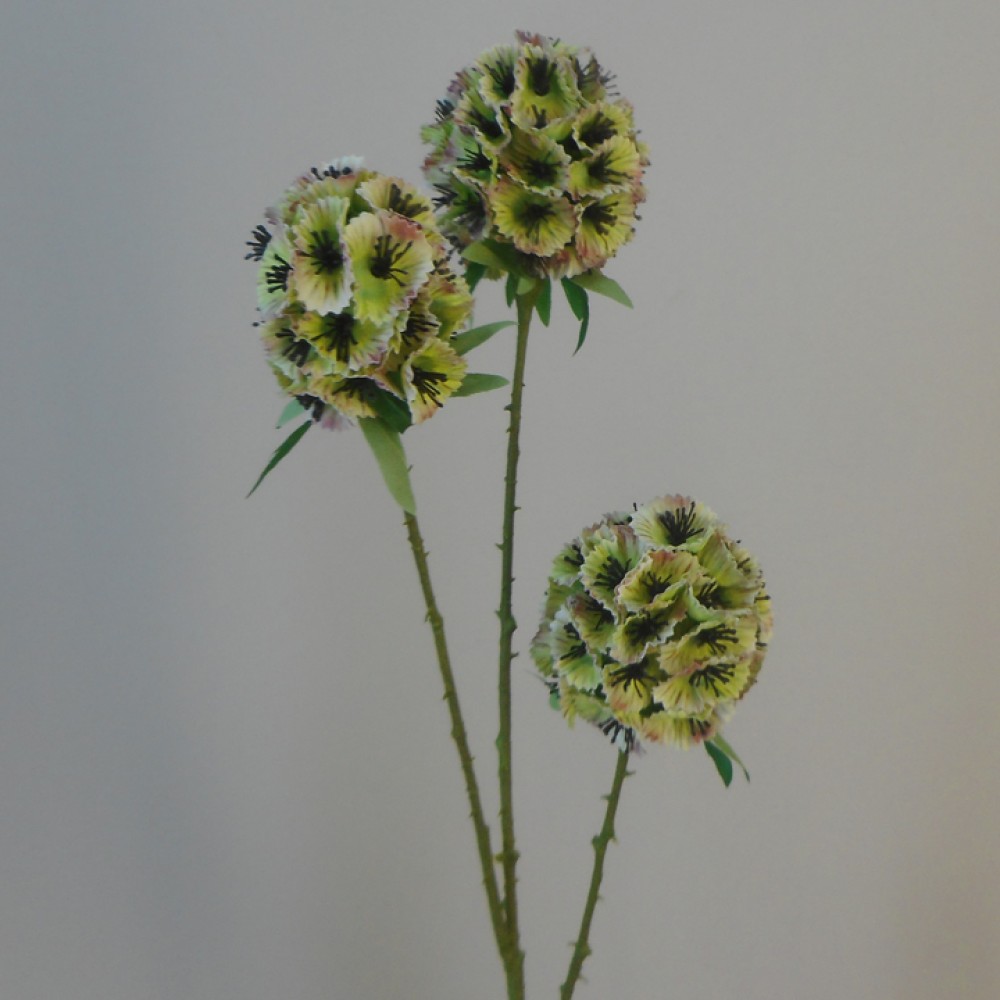 Scabiosa Stellata 'Drumstick' Green 71cm | Artificial Flowers