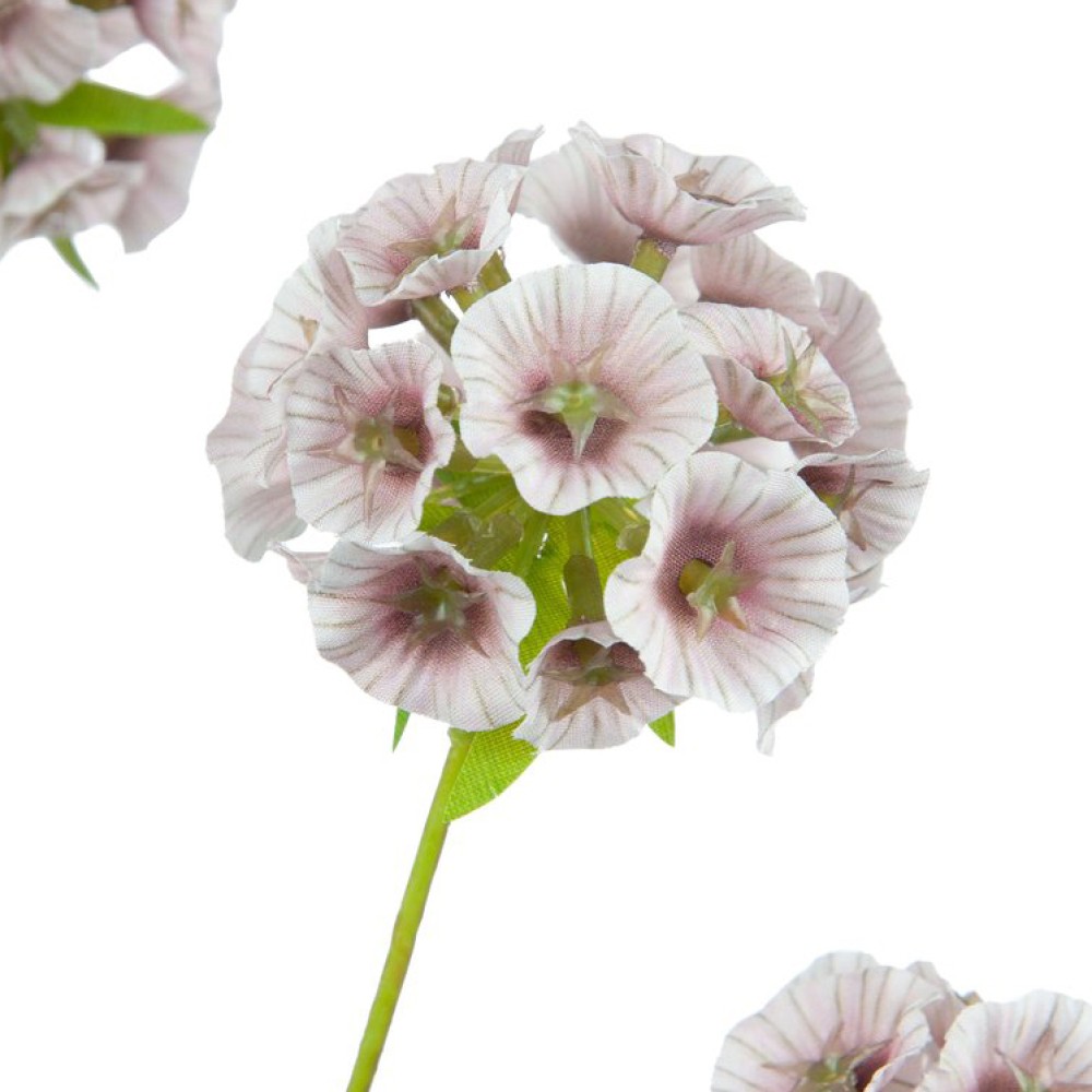 Scabiosa Stellata 'Drumstick' Pink 65cm | Artificial Flowers