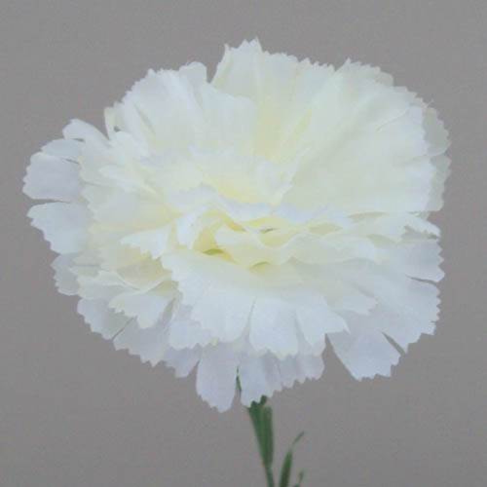 Silk Carnations Cream 45cm | Artificial Flowers