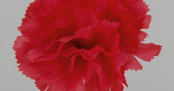 Silk Carnations Red 45cm | Artificial Flowers