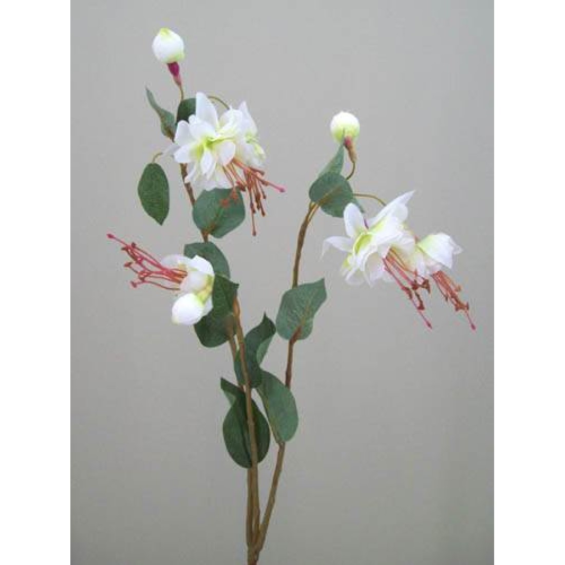 Artificial Flowers | Silk Double Fuchsia Stem Ivory 50cm