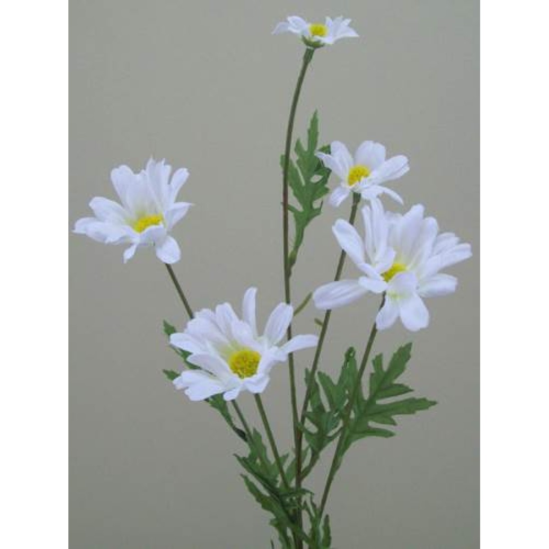 Silk Daisy Stem 69cm | Artificial Flowers