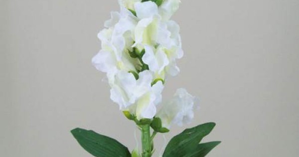 Snapdragon Ivory 59cm | Artificial Flowers