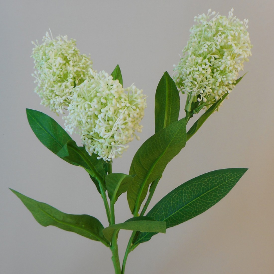 Artificial Skimmia Japonica Rubella Cream 60cm | Artificial Flowers