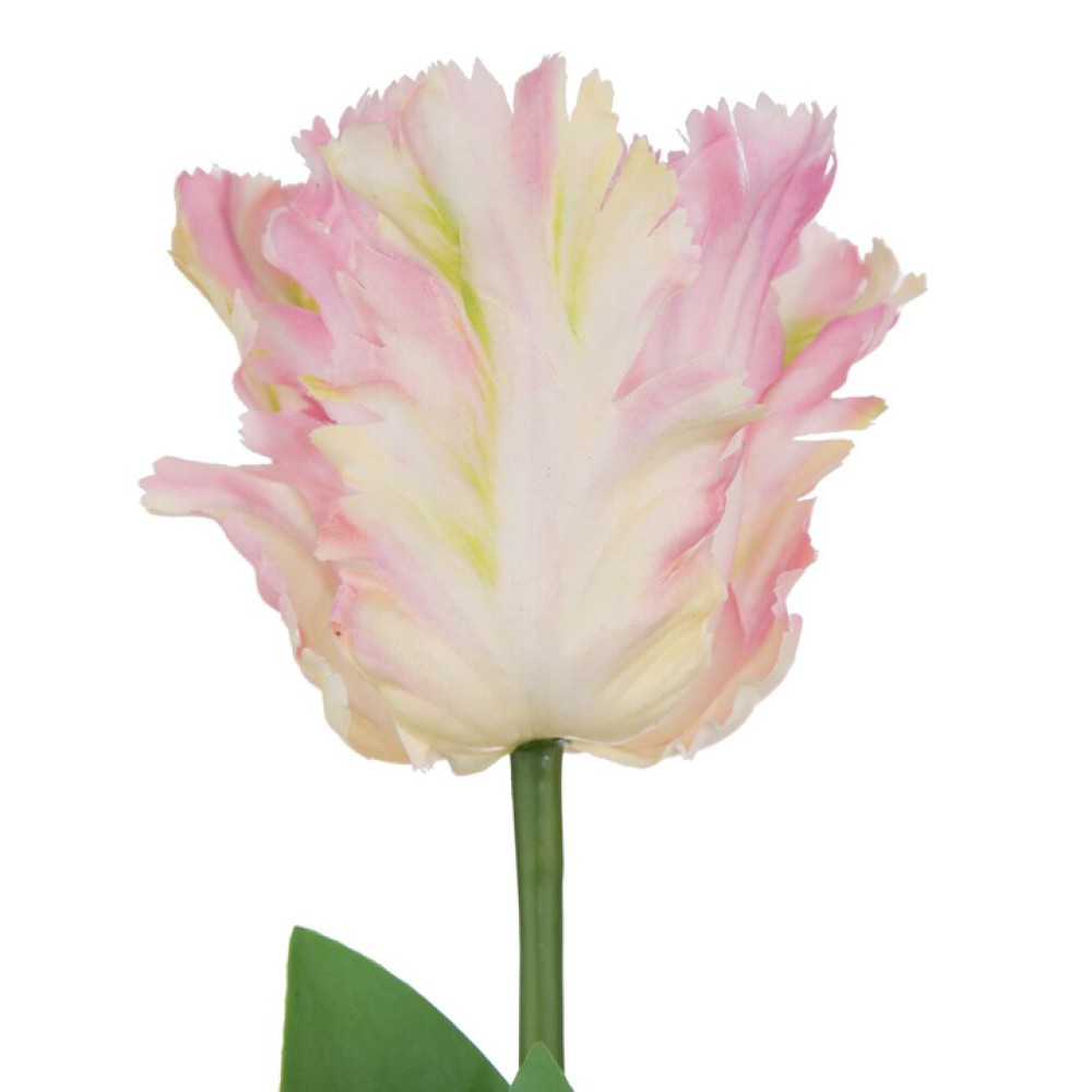 Silk Parrot Tulip Pale Pink 64cm | Artificial Flowers