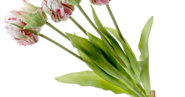 Real Touch Parrot Tulips Bundle Pink 40cm | Artificial Flowers