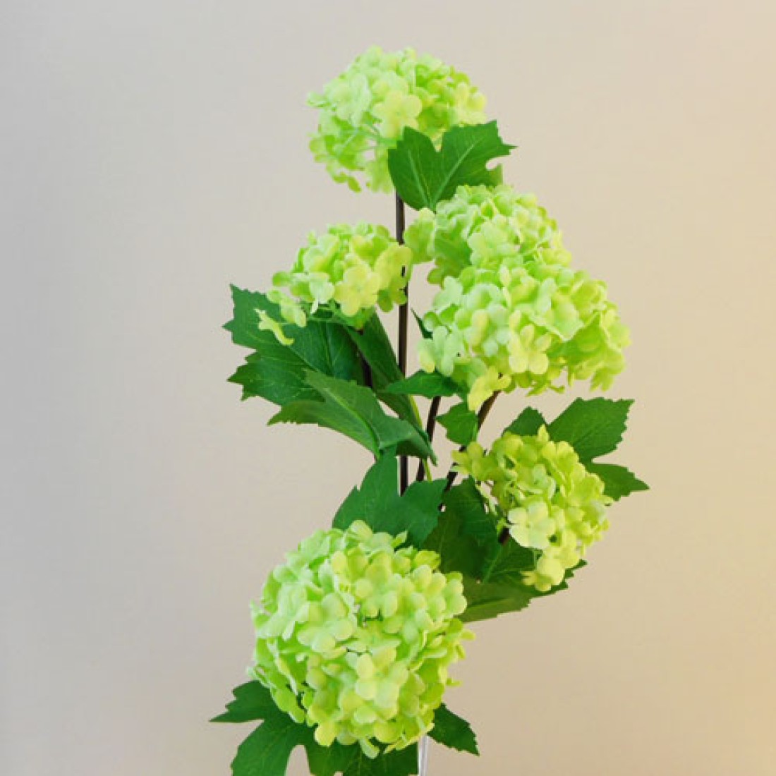 Silk Viburnum | Artificial Snowball Flowers Green 64cm | Artificial Flowers